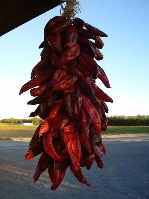 Hatch – The Chile Capital of the World – We are not Foodies