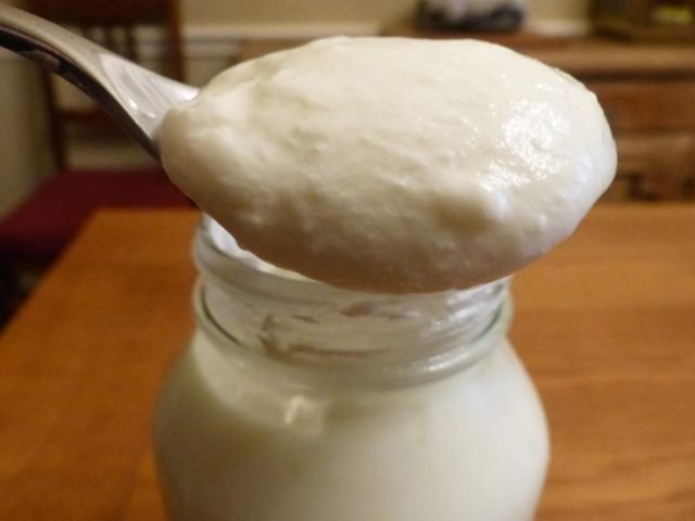 Making Yogurt at Home is Really Easy – We are not Foodies